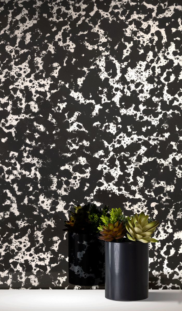 Celestial Antique Mirror Sample – Architectural Glass