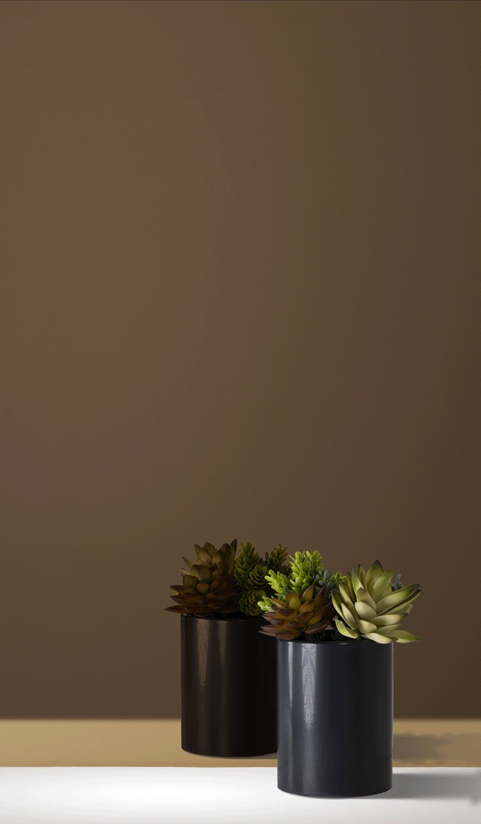 Euro Bronze Sample – Architectural Glass