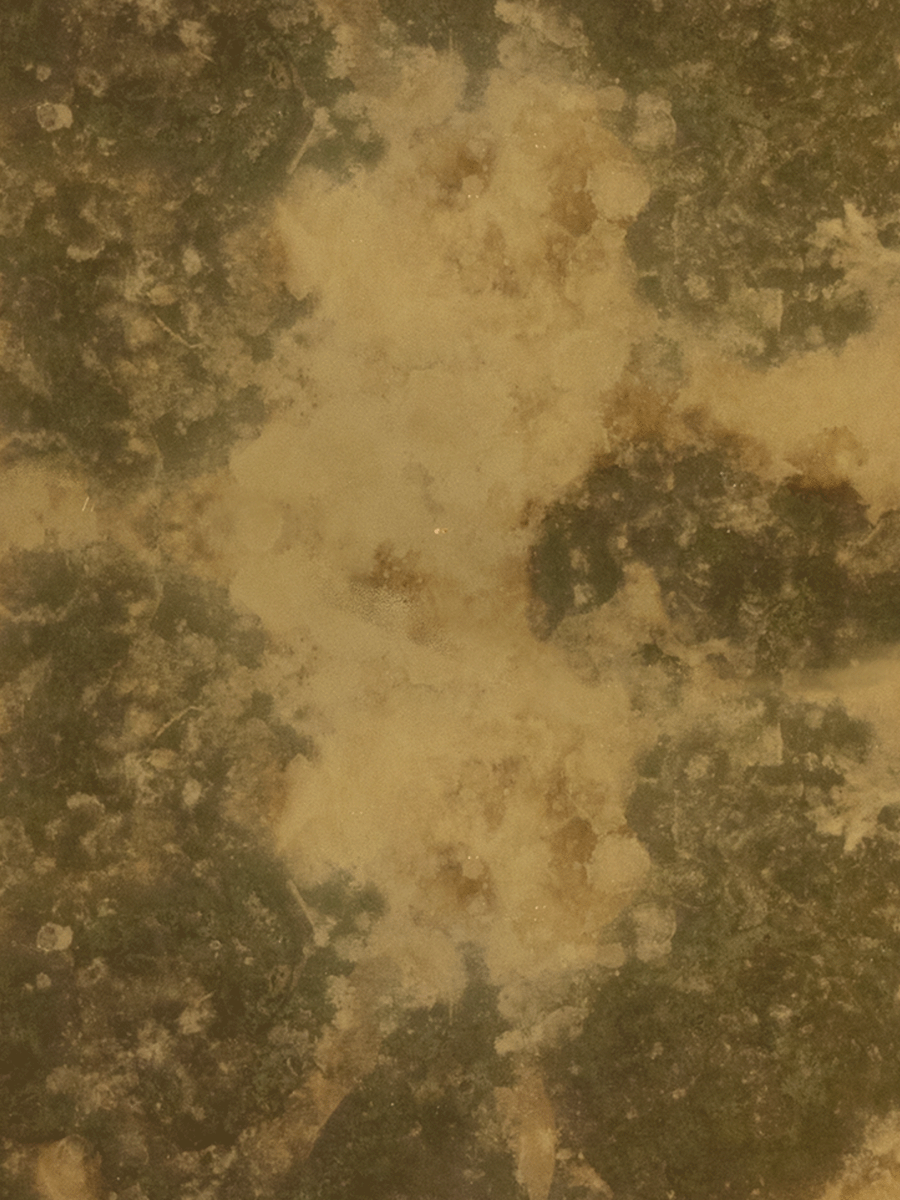 Metallic Gold Sample – Architectural Glass