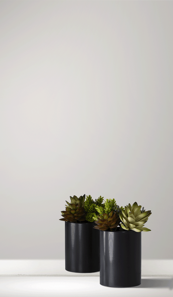 Clear Mirror 5mm Sample – Architectural Glass